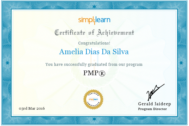 Amèlia Dias Da Silva, PMI-PgMP, PMI-PMP, TOGAF 9 - Digital Solutions ...